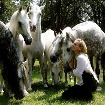 Equestrian Grand Liberty Tour Coming to Culver Academies – WKVI ...